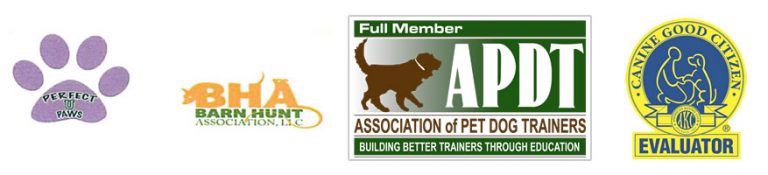 About - Perfect Paws U