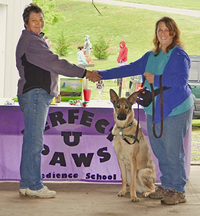 About - Perfect Paws U